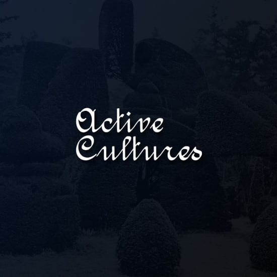 Patricia debuts on new label Active Cultures (NYC) - Inverted Audio