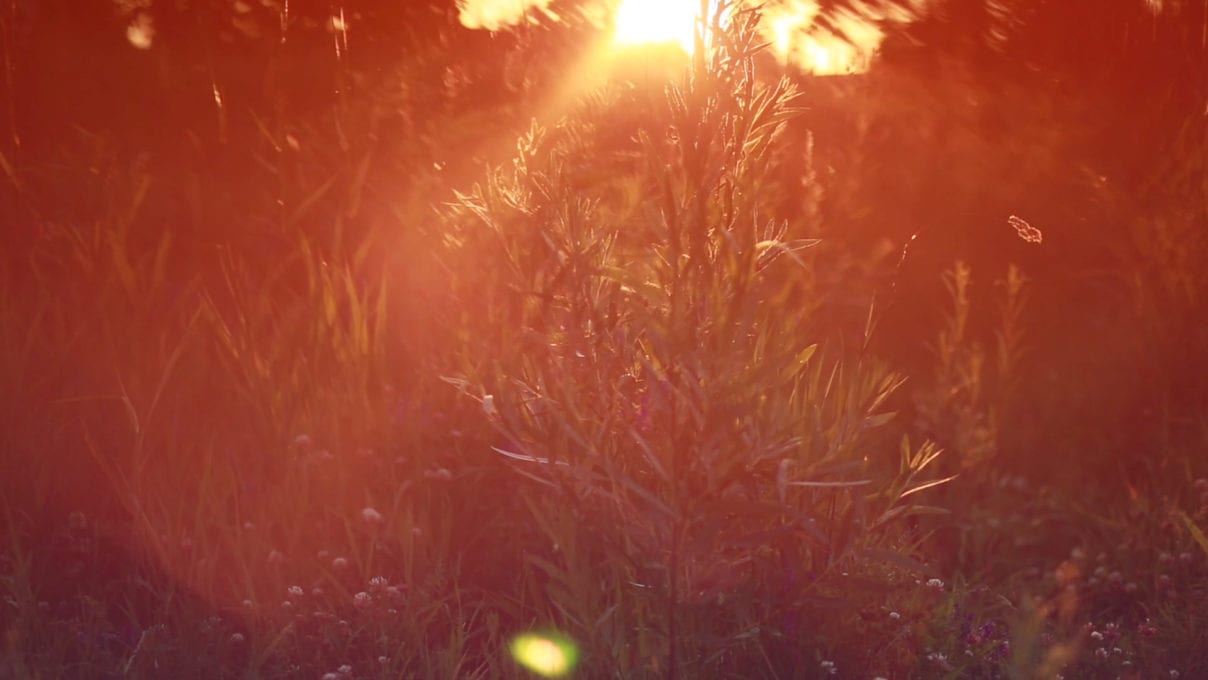 Music Video: Valiska - Heavy Riser - Inverted Audio