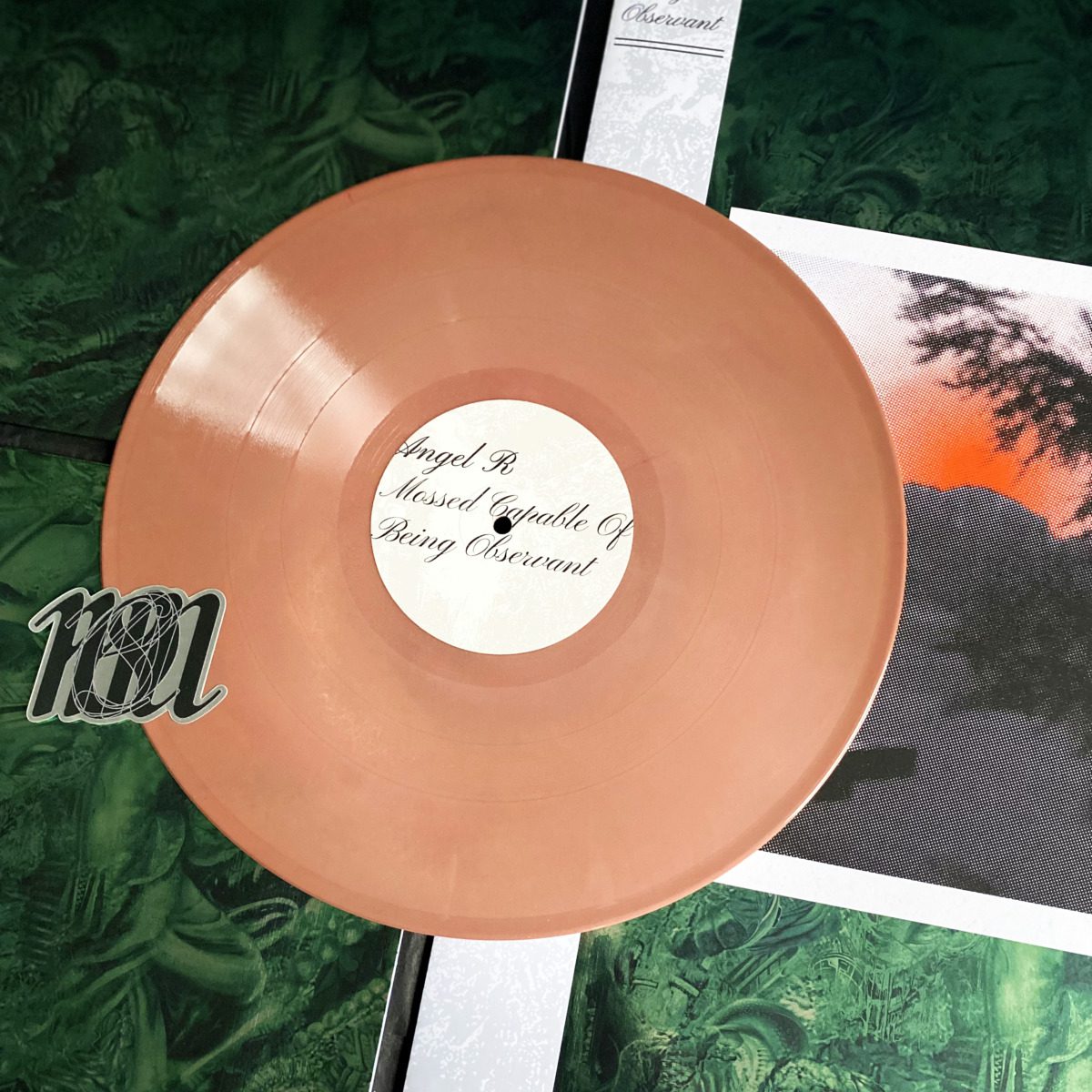 Review: Angel R: Mossed Capable Of Being Observant - Inverted Audio