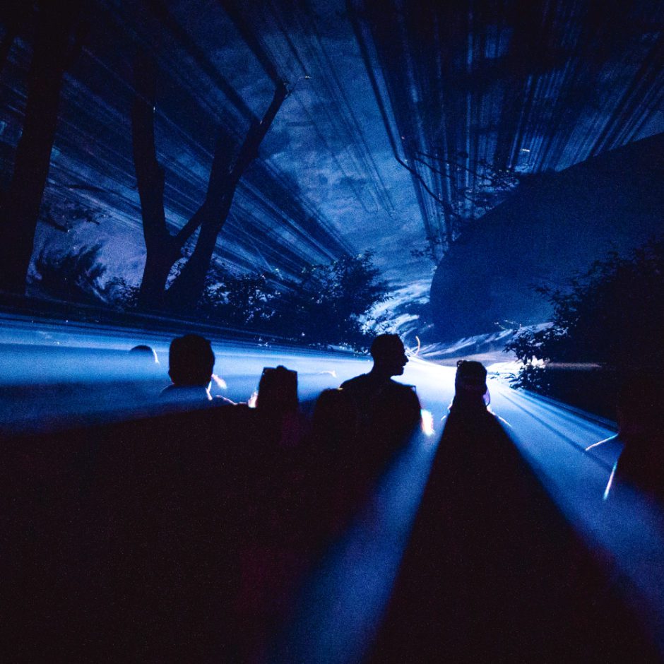 Cosmic Roots Festival - Inverted Audio