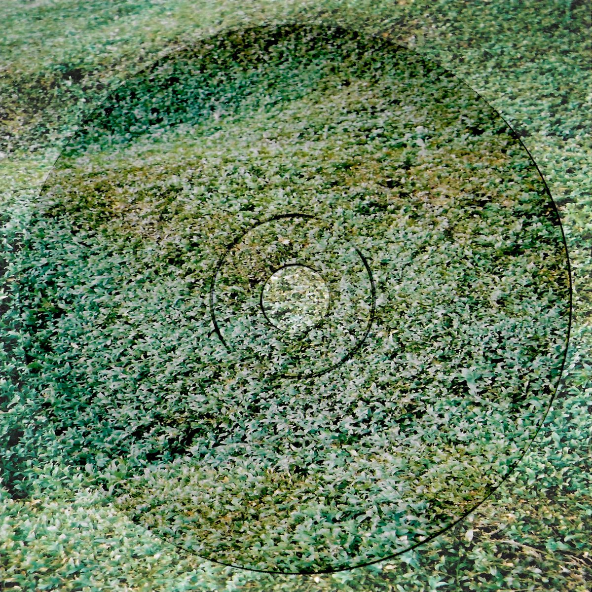 Conrad Pack releases 'DOMA4' on Lost Domain - Inverted Audio