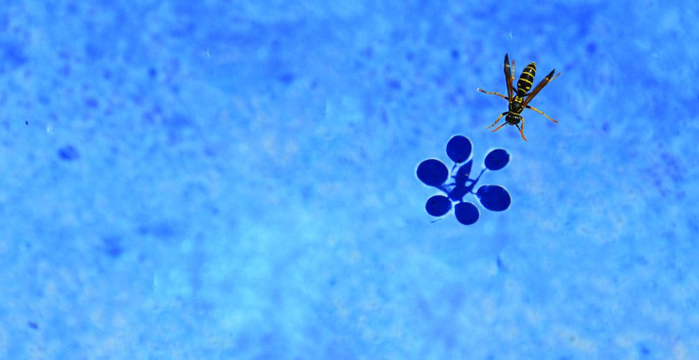 Premiere: Emmanuel - Culture - Inverted Audio