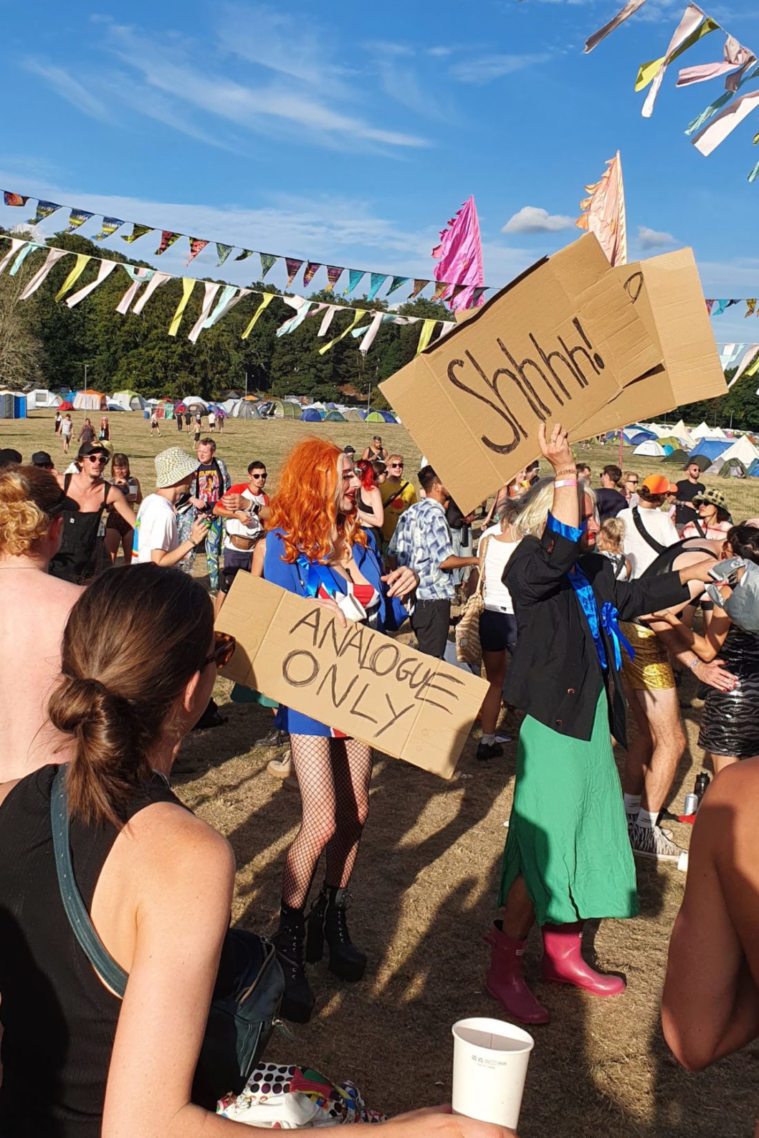 Field Maneuvers - Inverted Audio