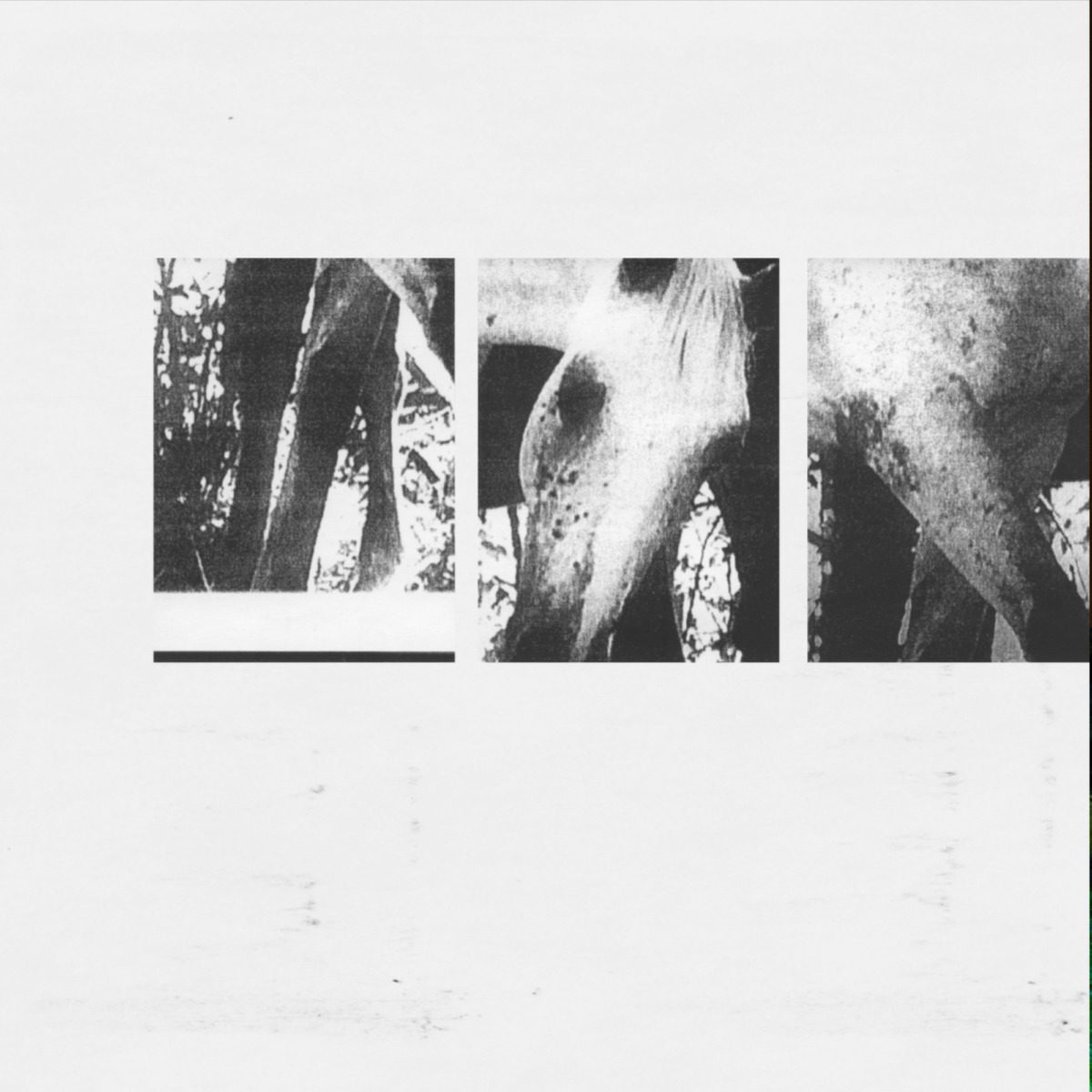 Premiere: JK Flesh - Veneer Of Tolerance (Samuel Kerridge Remix ...