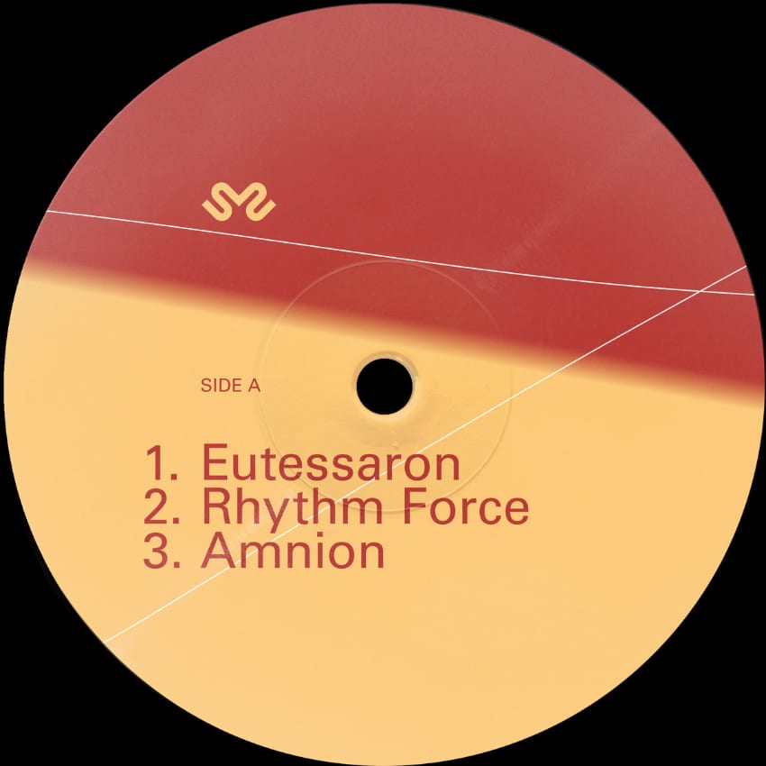 Premiere: Kamron Saniee - Amnion - Inverted Audio