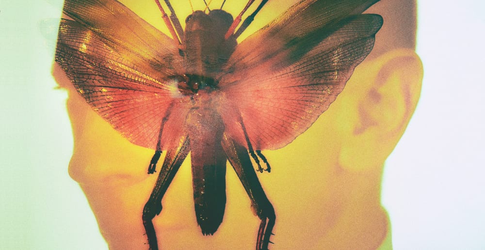 Premiere: Maelstrom - Latent Learning - Inverted Audio