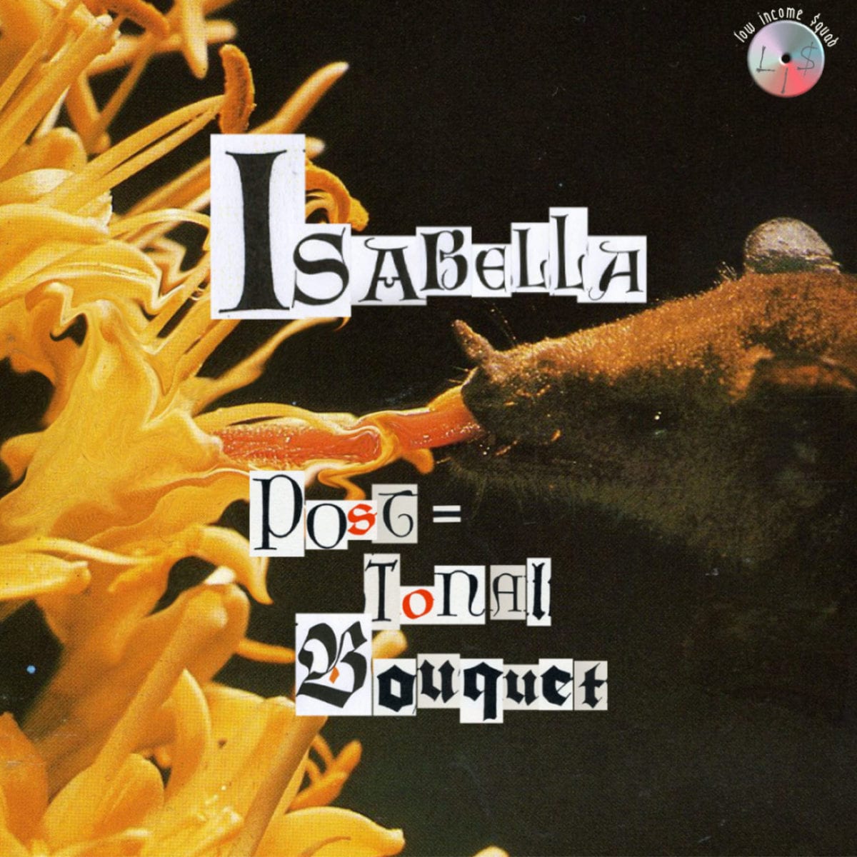 Premiere: Isabella - Freethrow - Inverted Audio