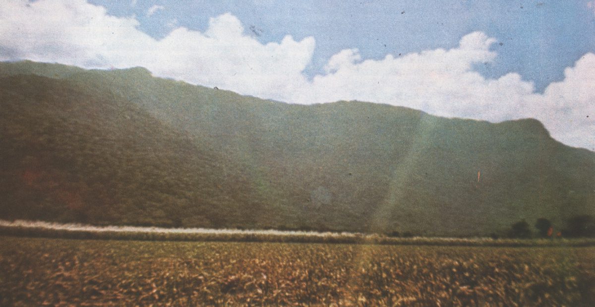 Premiere: René Najera - Bad Analogy (ft. Maria Minerva) - Inverted Audio