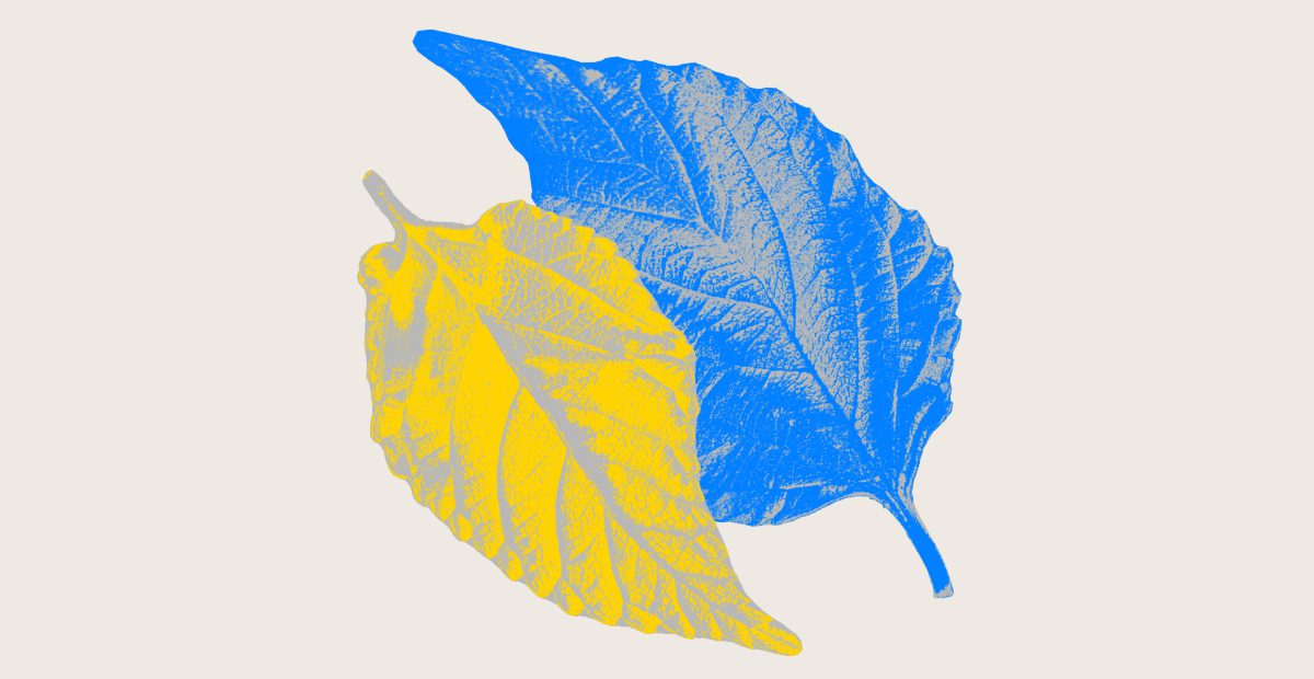 Premiere: Pau Roca - Your Energy feat. Laura Elle (Alton Miller Vocal ...