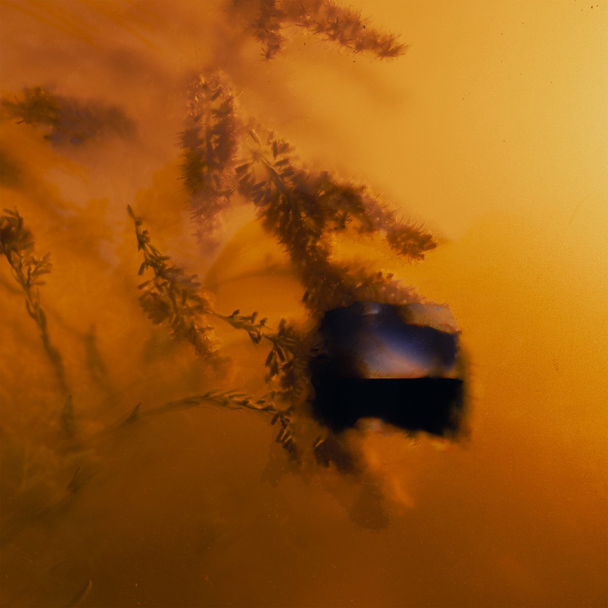 Review: Ulla & Ultrafog: It Means A Lot - Inverted Audio