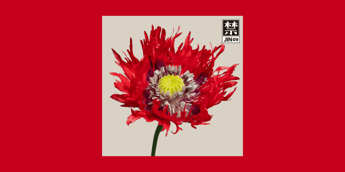 Premiere: Cosmo - Kintamani - Inverted Audio