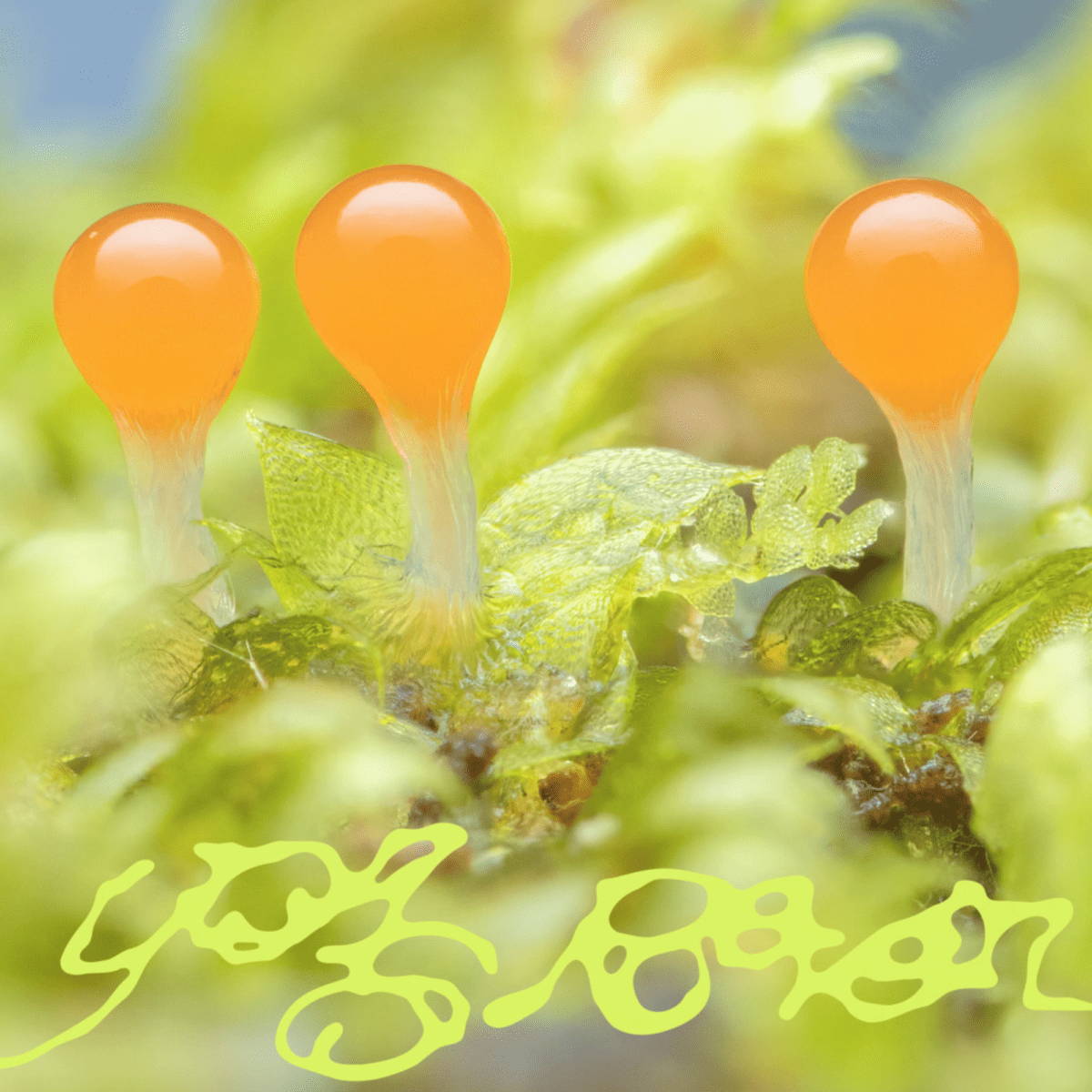 Premiere: Yas Reven - Slow Pulse - Inverted Audio