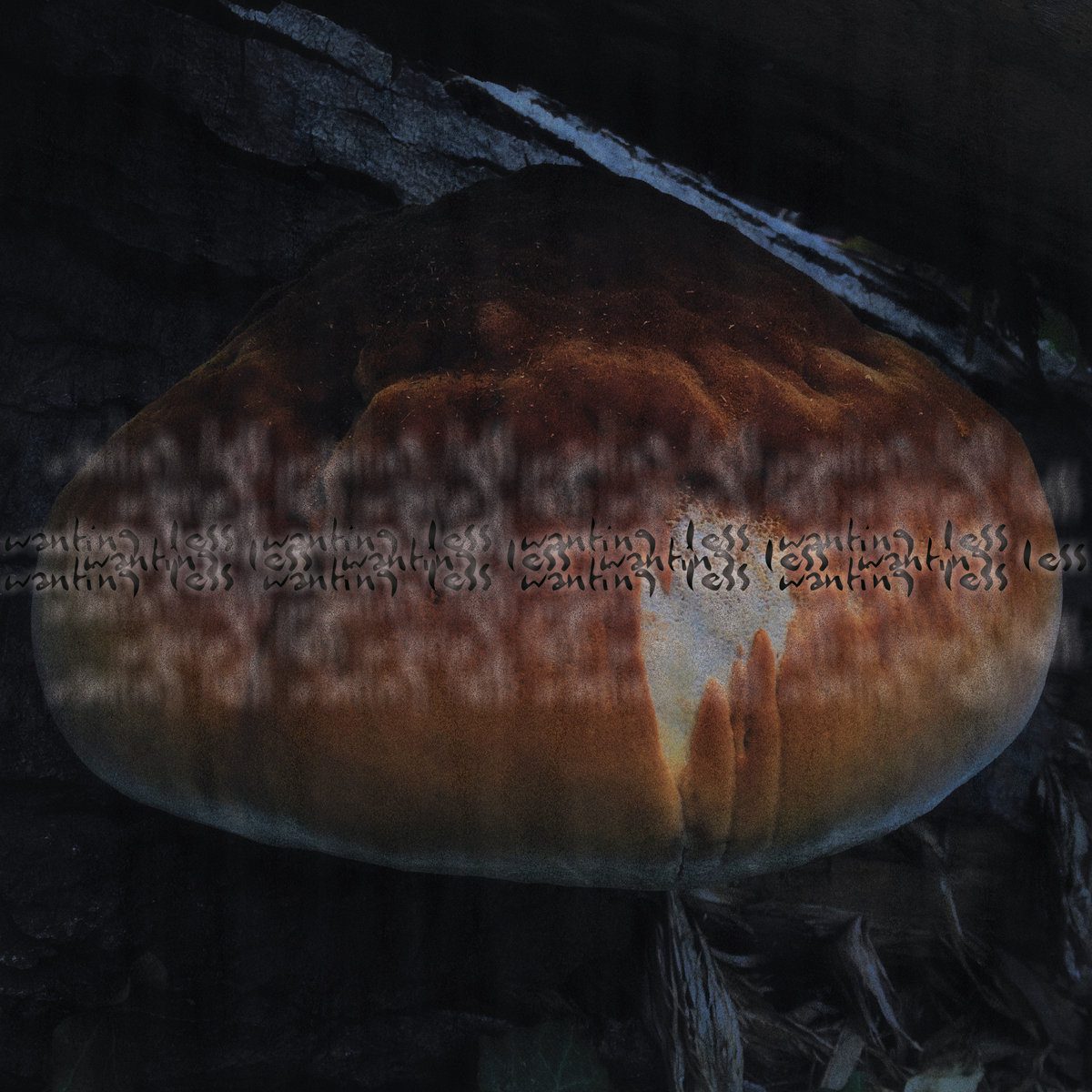 Review: mu tate: wanting less - Inverted Audio