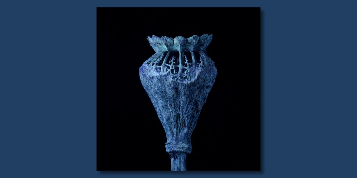 Premiere: Mikael Tobias - Treaty (feat. Crush String Collective) - Inverted Audio